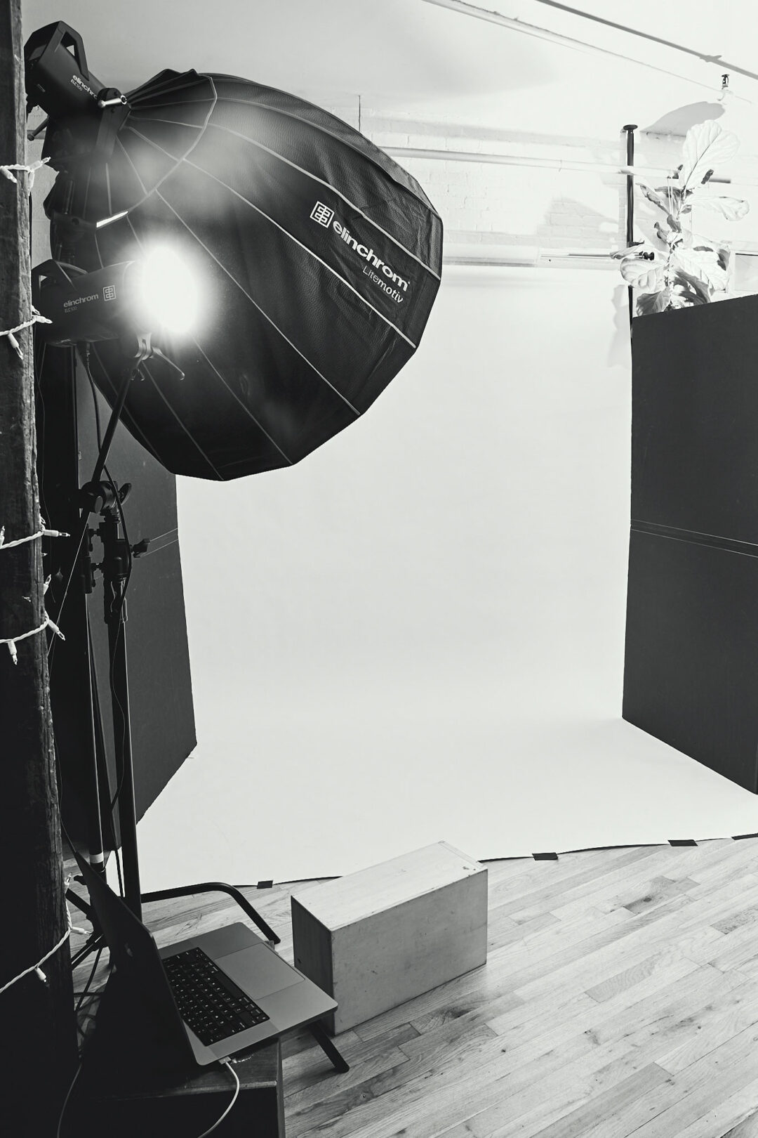 Elinchrom Accessories Spotlight: The Litemotiv Para Softbox 120 cm (43 ...