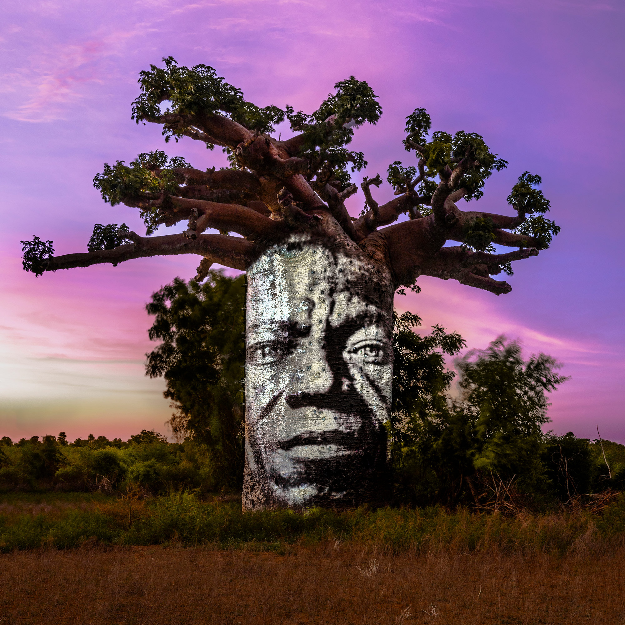 An inward journey on the Red Island | Elinchrom